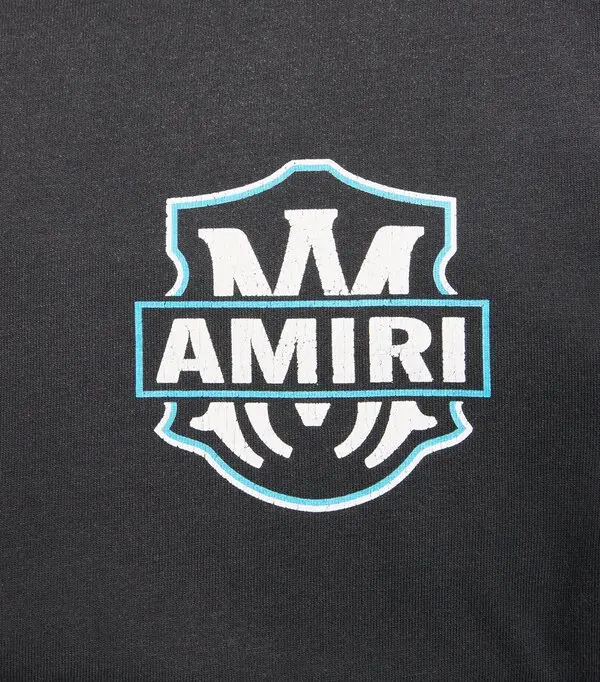 Amiri Cotton Eagle Flames Long-sleeve T-shirt