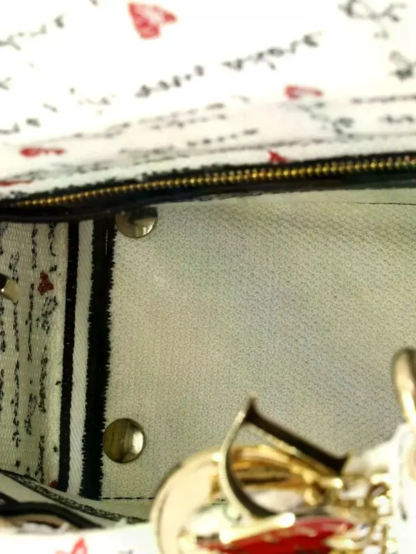 Dior Lady D-lite Embroidered Canvas Satchel - Multicolour