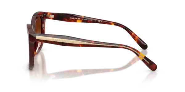 COACH Square Frame Sunglasses - Walnut Tortoise