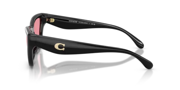 COACH Cat-eye Sunglasses - Black