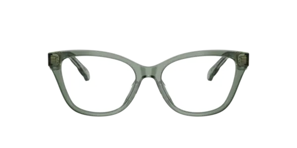 Tory Burch Cat-eye Eyeglasses - Transparent Sage