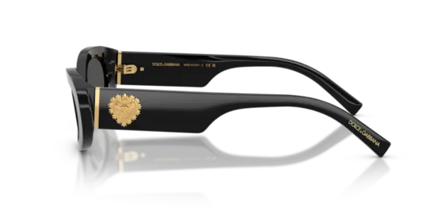 Dolce & Gabbana Dg4537 Sunglasses - Black