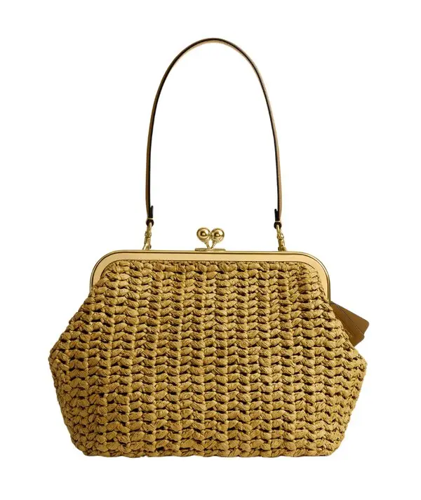 COACH Kisslock Frame Bag 27