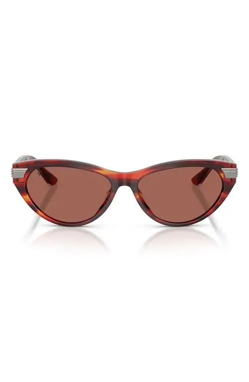 FERRARI 56mm Cat-eye Sunglasses - Striped Brown/brown