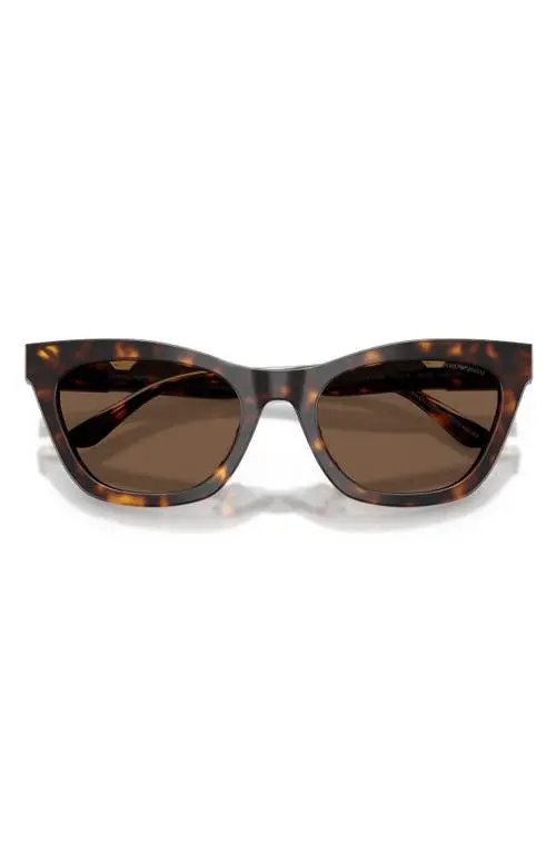 Emporio Armani 55mm Cat-eye Sunglasses - Shiny Havana/brown