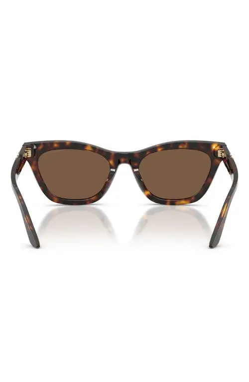 Emporio Armani 55mm Cat-eye Sunglasses - Shiny Havana/brown