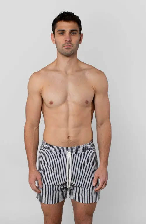 LEISURE LAB Striped Swim Trunks - Espresso