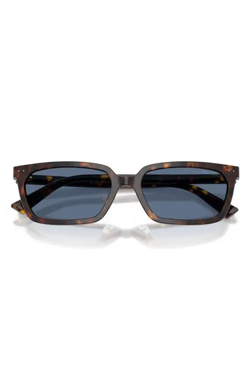 JIMMY CHOO 55mm Rectangular Sunglasses - Havana/blue