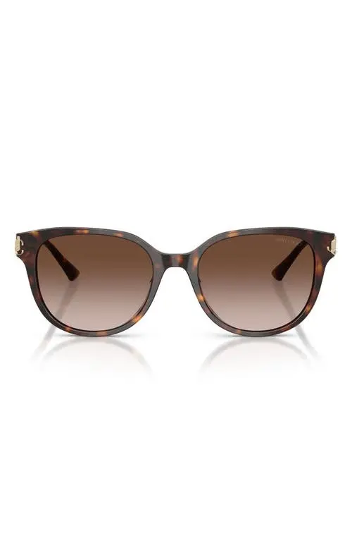 JIMMY CHOO 55mm Gradient Phantos Sunglasses - Havana/gradient Brown