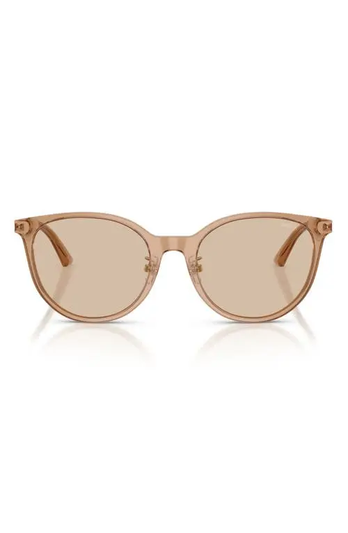 JIMMY CHOO 54mm Phantos Sunglasses - Transparent Tan/light Brown