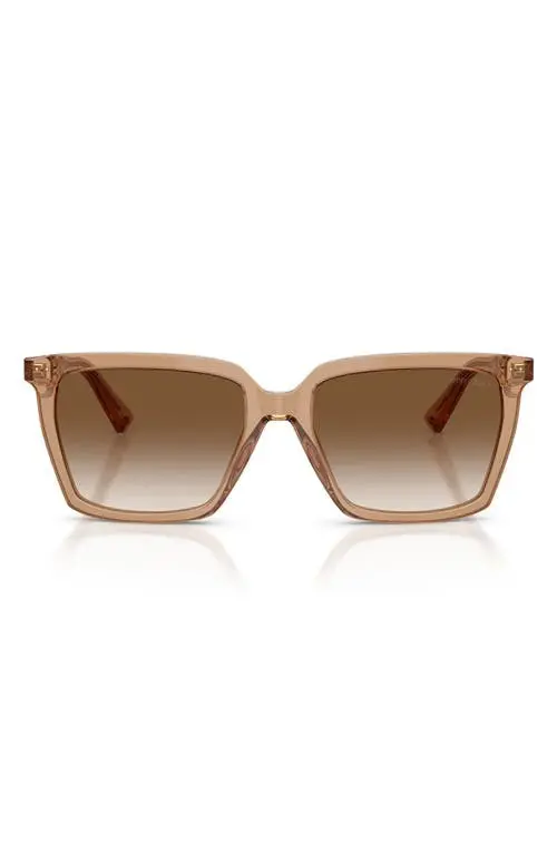 JIMMY CHOO 55mm Square Sunglasses - Transparent Tan/brown