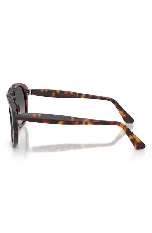 Persol 54mm Polarized Pilot Sunglasses - Havana/polar Gradient Grey