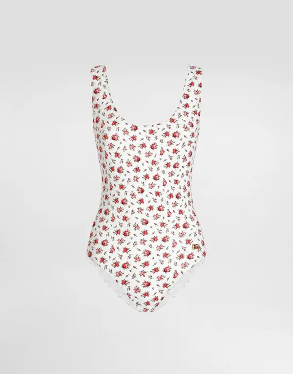 Dolce & Gabbana Rose-print One-piece Swimsuit - Multicolor