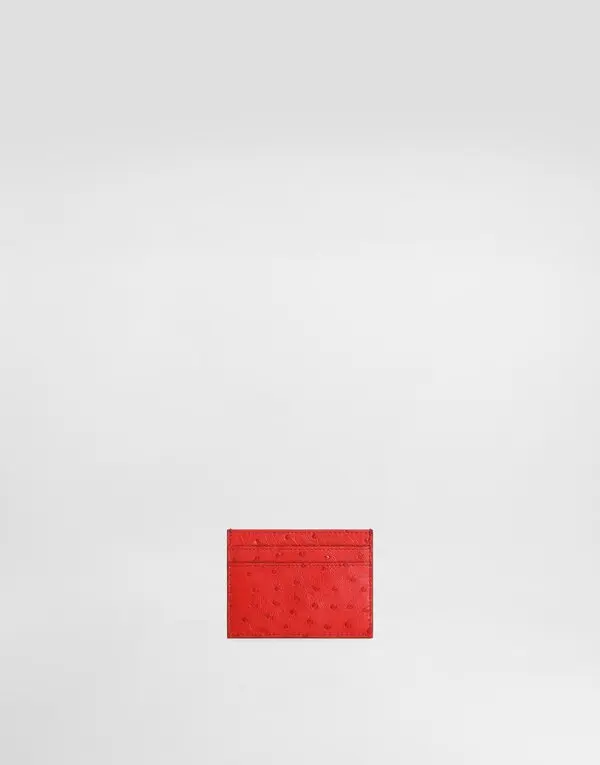 Dolce & Gabbana Polished Ostrich Leather Card Holder