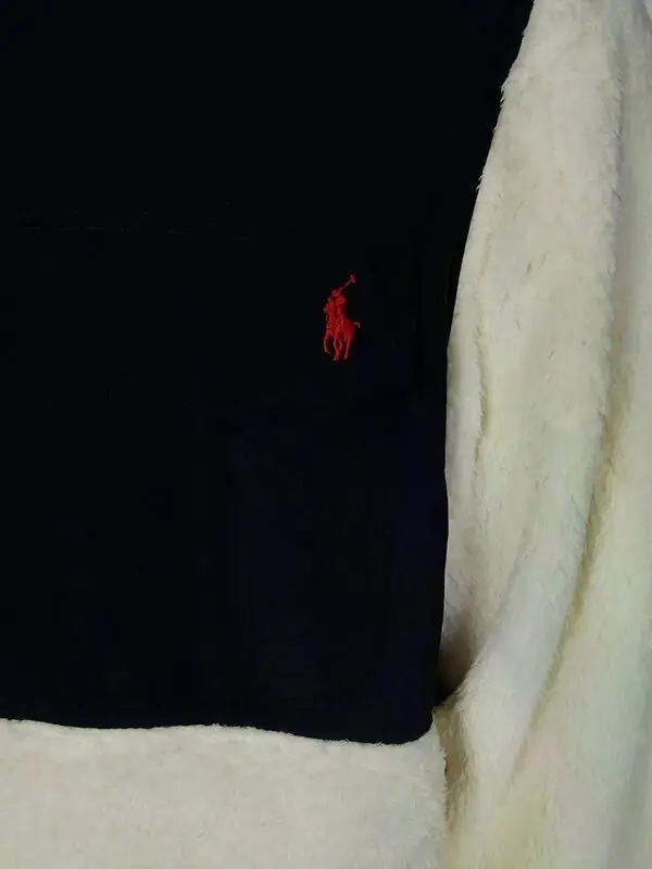 Polo Ralph Lauren Logo Embroidered Hoodie
