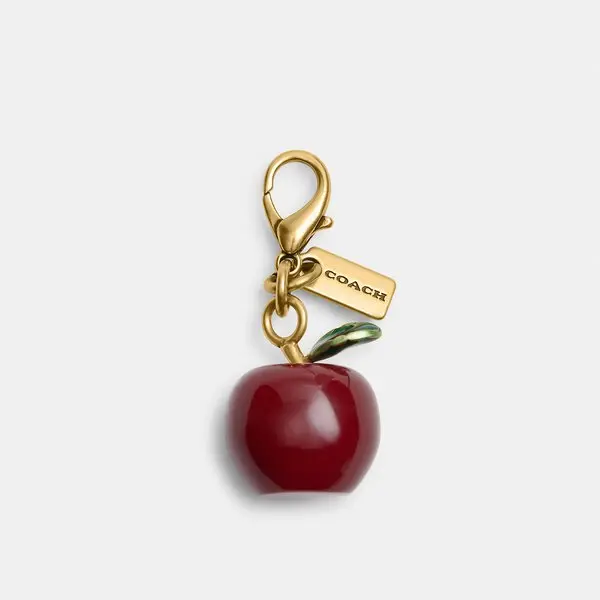 COACH Diy Apple Charm