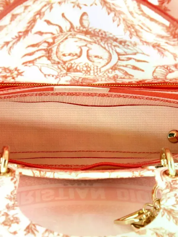 Dior Lady D-lite Medium Satchel