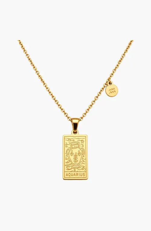 HUMANIST BEAUTY Zodiac Constellation Pendant Necklace - Aquarius