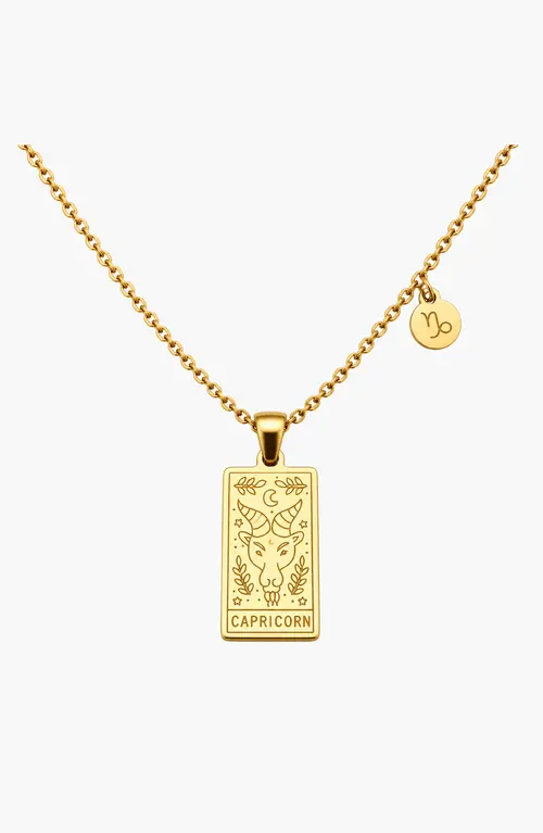 HUMANIST BEAUTY Zodiac Constellation Pendant Necklace - Capricorn