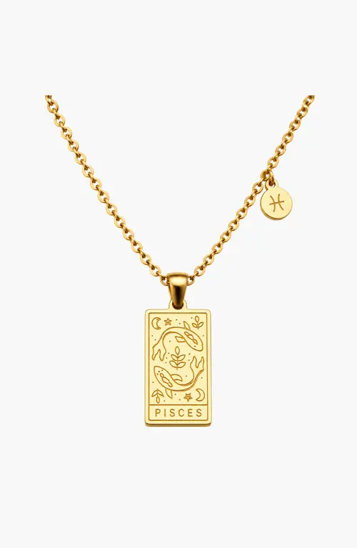 HUMANIST BEAUTY Zodiac Constellation Pendant Necklace - Pisces