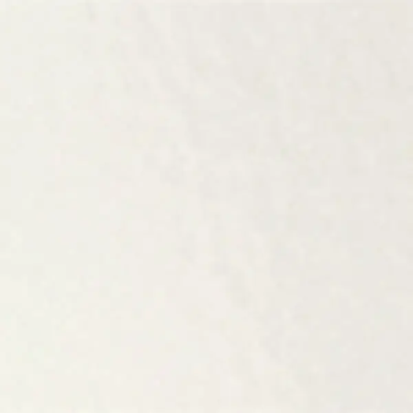 Bottega Veneta Nappa Leather Faces Belt - White