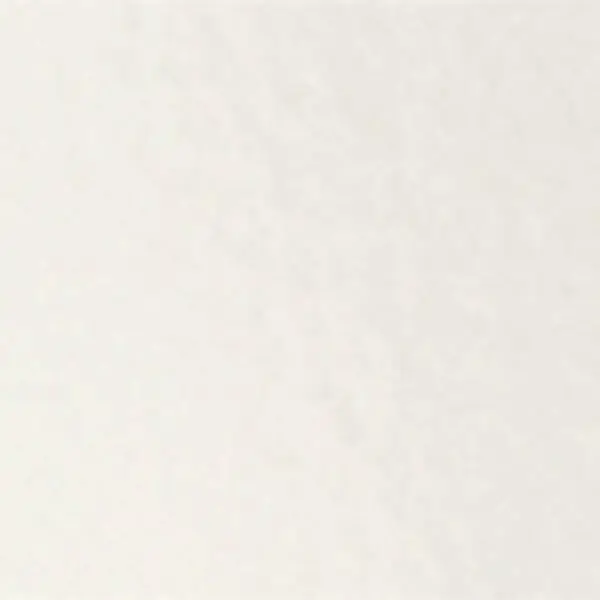 Bottega Veneta Nappa Leather Faces Belt - White