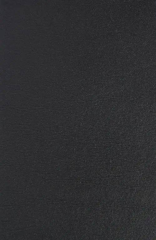 Max Mara Square Buckle Leather Belt - Black