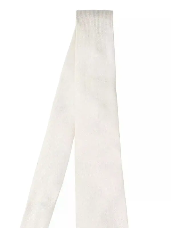 Cesare Attolini Pointed Neck Tie