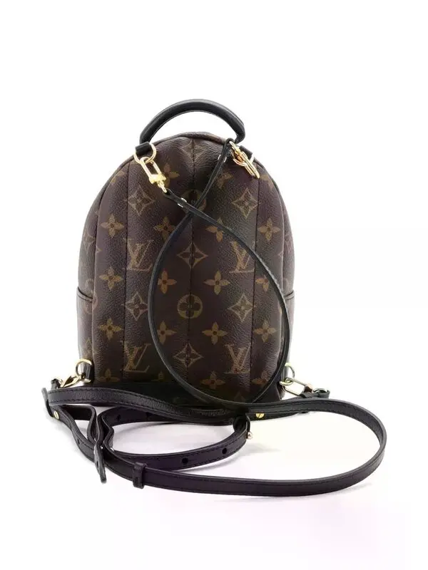 LOUIS VUITTON Palm Springs Monogram Canvas Mini Backpack - Brown