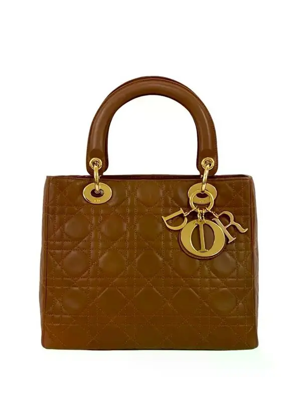 Dior Medium Lady Satchel
