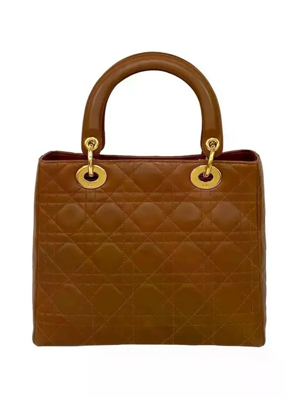 Dior Medium Lady Satchel