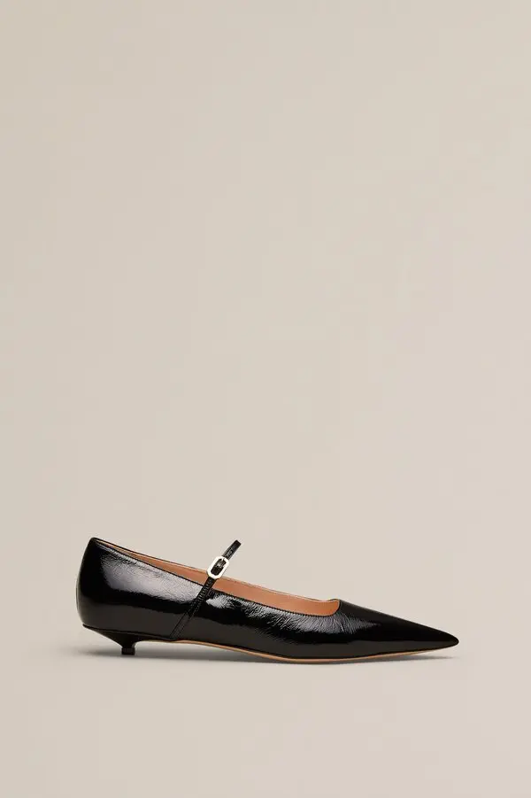Scanlan Theodore Pointed Ballerina 2.5