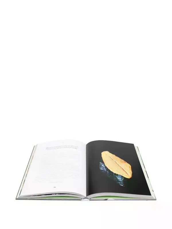 Assouline Sushi Shokunin: Japan's Culinary Masters Book