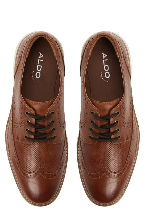 Aldo Dominik Wingtip Derby