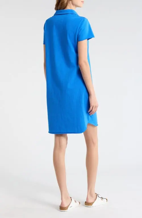 Frank & Eileen Lauren Cotton Polo Dress