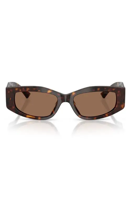 JIMMY CHOO 53mm Irregular Sunglasses - Havana/dark Brown