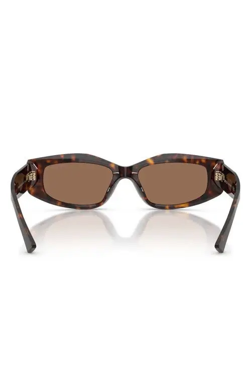 JIMMY CHOO 53mm Irregular Sunglasses - Havana/dark Brown