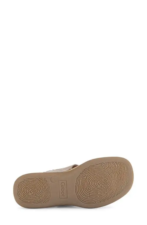 Gabor Flip-flops - Rabbit