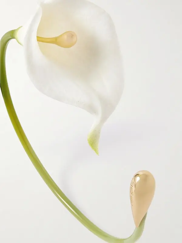 Cult Gaia Calla Vine Tpu And Gold-tone Choker - White