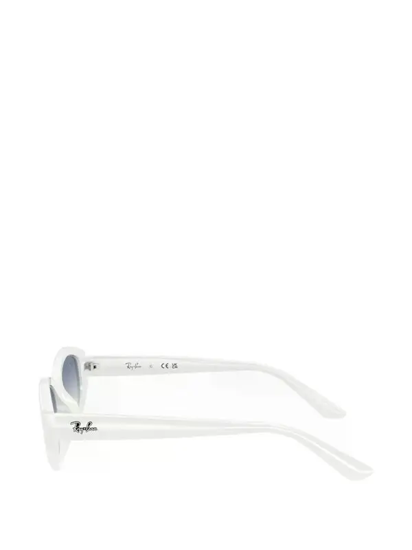 Ray-ban Oval-frame Sunglasses