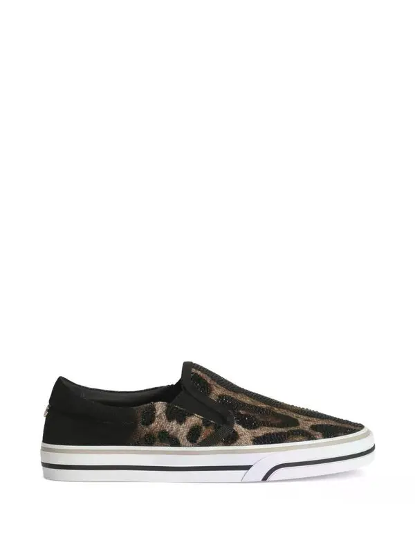 Dolce & Gabbana Dg Sailing Sneakers