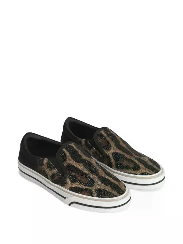 Dolce & Gabbana Dg Sailing Sneakers
