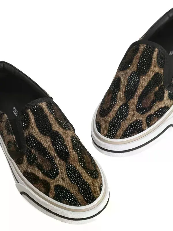 Dolce & Gabbana Dg Sailing Sneakers