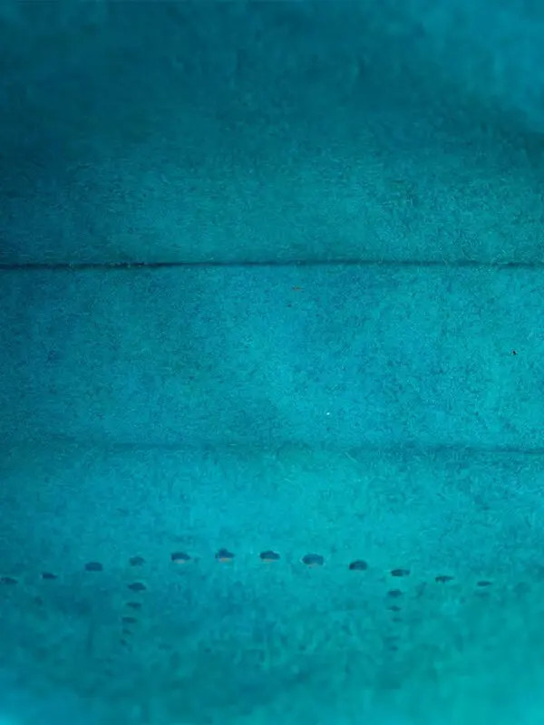Hermès 2021 Clemence Evelyne Tpm Crossbody Bag
