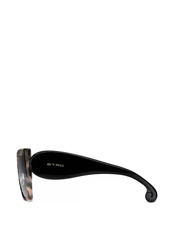 Etro Paisley-pattern Sunglasses - Neutrals