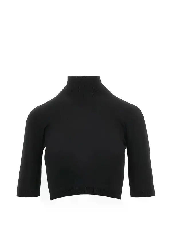 Max Mara Mxscanale Turtleneck Top - Black