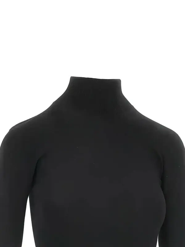 Max Mara Mxscanale Turtleneck Top