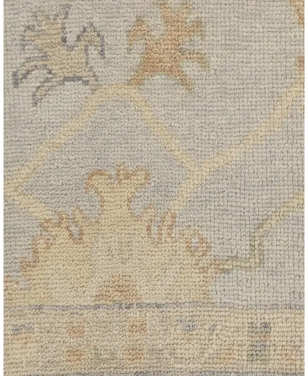 TIMELESS RUG DESIGNS Edinburgh S3415 5'0x8'0 Area Rug