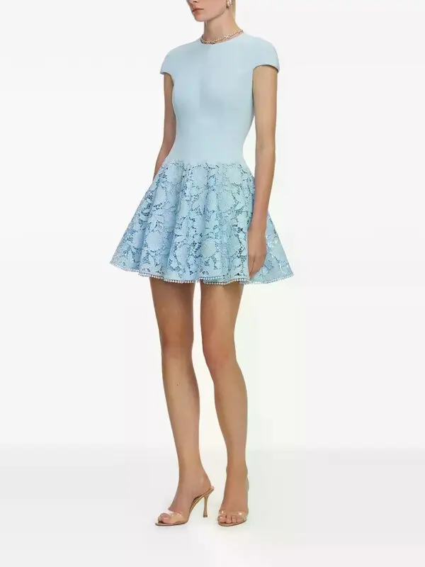 SELF-PORTRAIT Embroidered Lace Mini Dress - Blue
