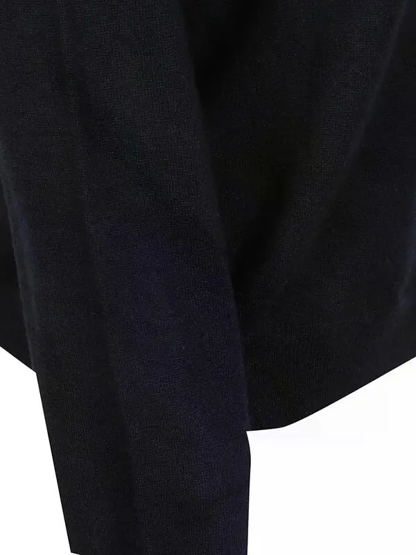 WELLNESS CASHMERE V-neck Cashmere Sweater